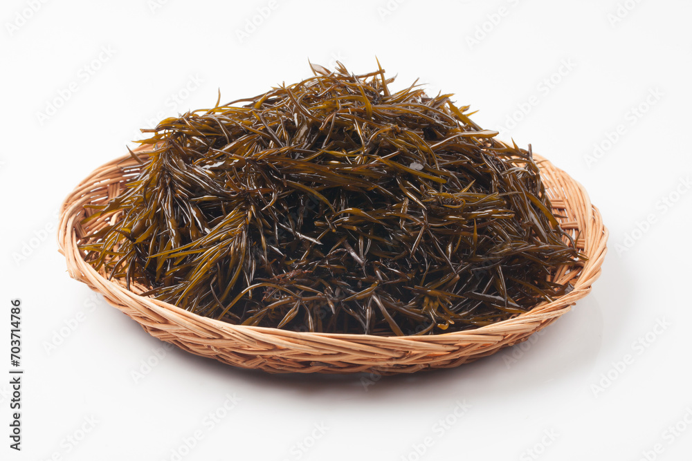 Seaweed of the brown algae Mojabanidae. The body is supported by ...