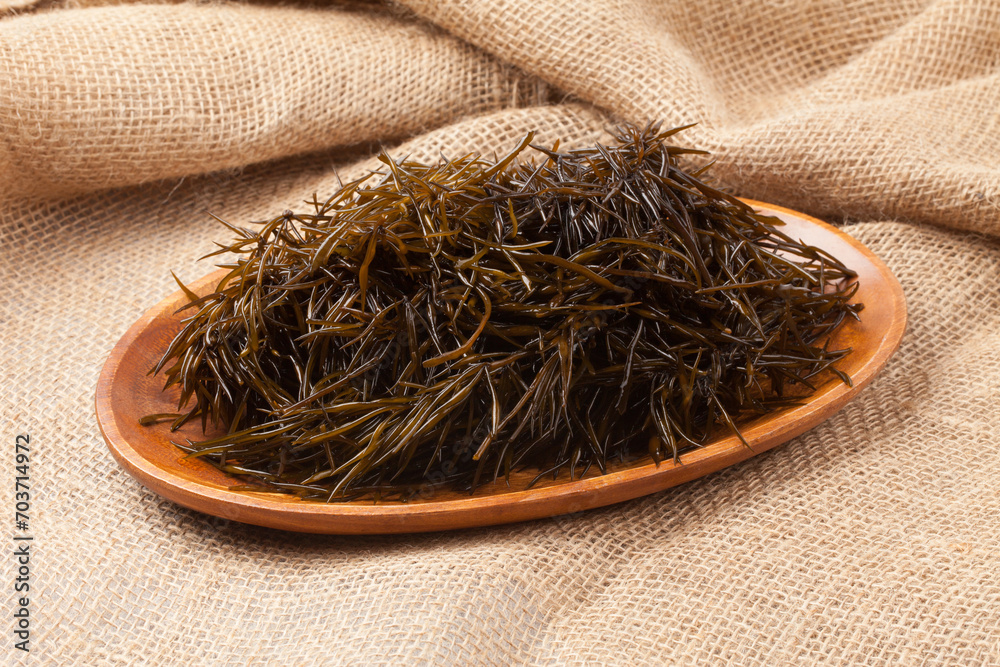 Seaweed of the brown algae Mojabanidae. The body is supported by ...