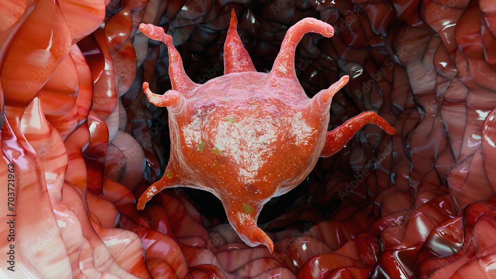 Platelets anatomy, blood cell, thrombocytes in blood vessel under ...