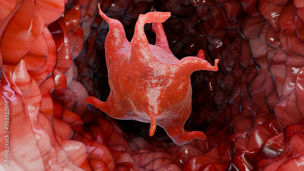 Platelets anatomy, blood cell, thrombocytes in blood vessel under ...