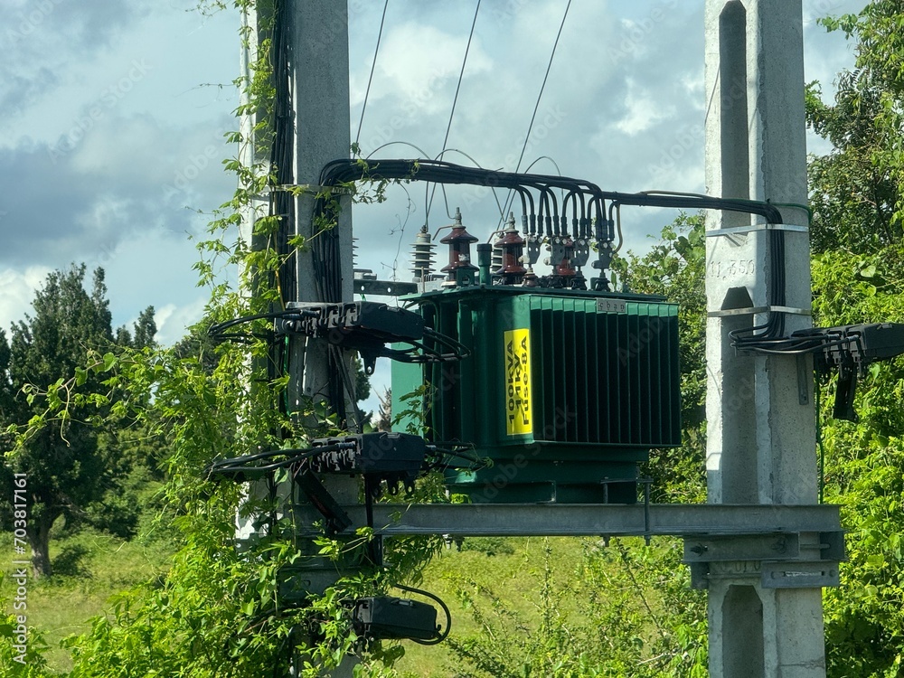 power unit distribution transformer 100 kVA 11kV Fuse-8A in rural Sri ...