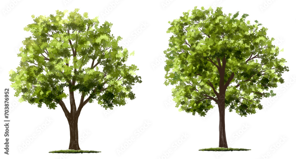 Vertor set of green tree,plants side view for landscape elevations ...