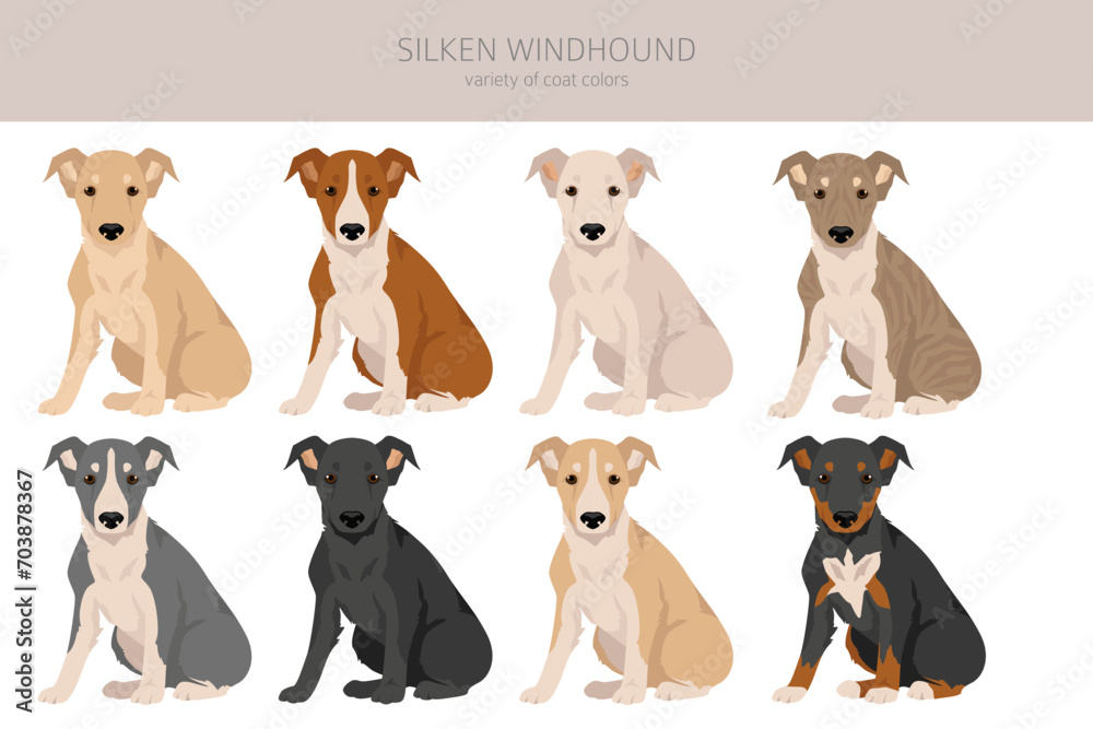 Silken Windhound puppies clipart. All coat colors set. All dog breeds ...