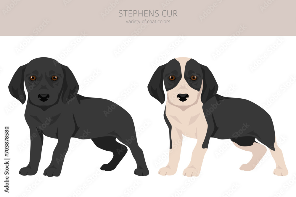 Stephens Cur puppies clipart. All coat colors set. All dog breeds ...