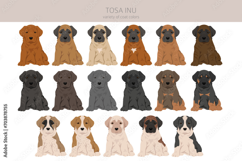 Vetor de Tosa Inu puppies clipart. Different poses, coat colors set do ...
