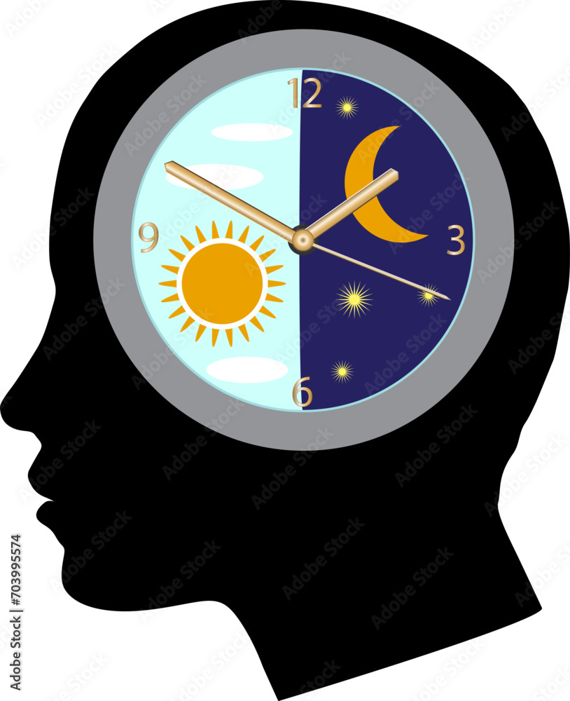 A circadian rhythm or circadian cycle. Human circadian biological clock ...