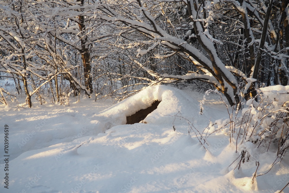 A burrow is an underground tunnel with one or more exits, dug by ...
