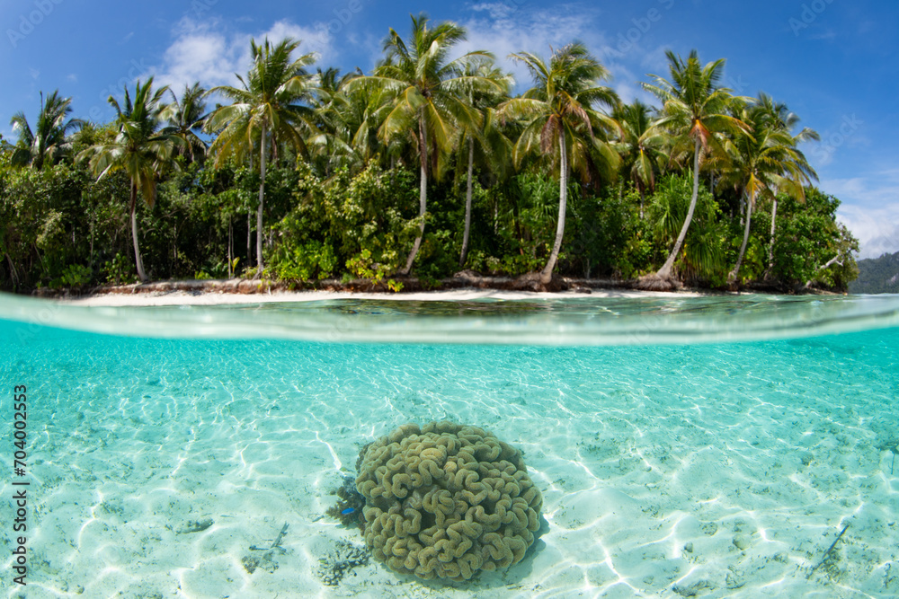 Clear, calm, warm water surrounds an idyllic tropical island in Raja ...