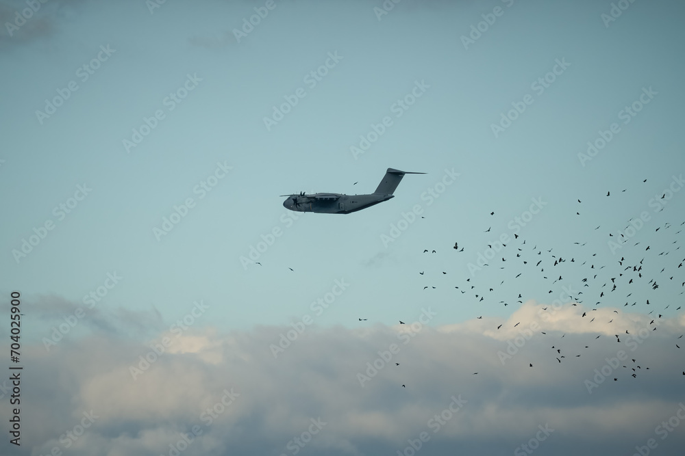 RAF Royal Air Force Airbus A400M Atlas military cargo plane on a low ...