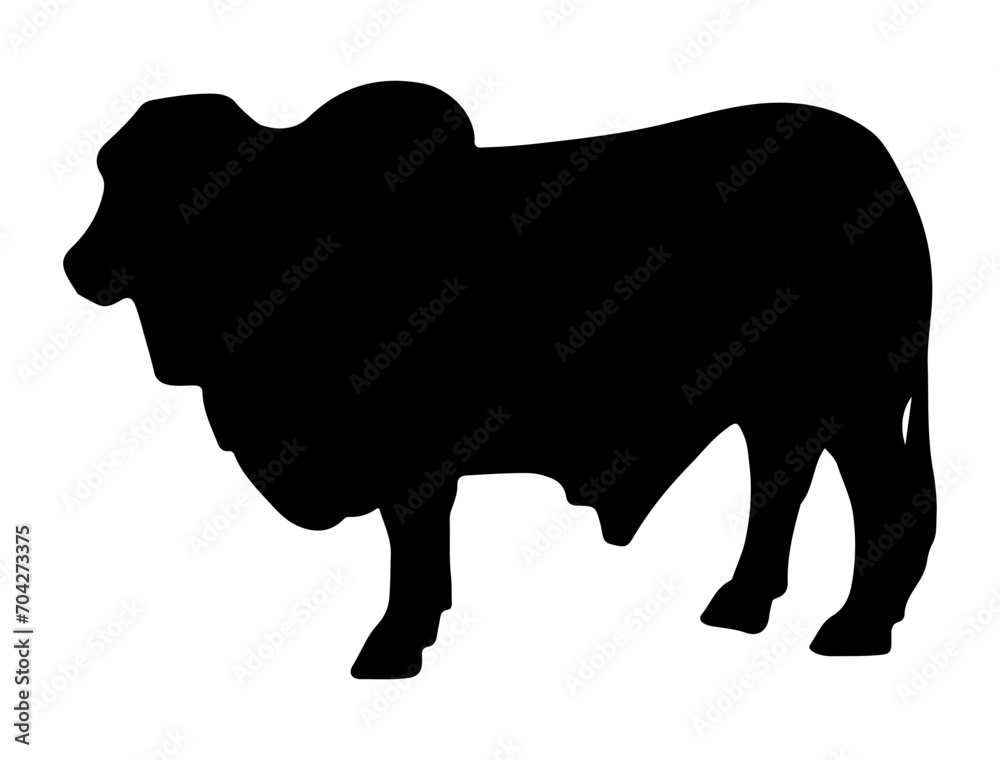 Brahman Bull silhouette vector art white background Stock Vector ...