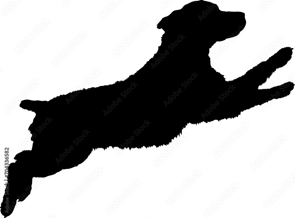 Boykin Spaniel Dog silhouette breeds dog breeds dog monogram logo dog ...