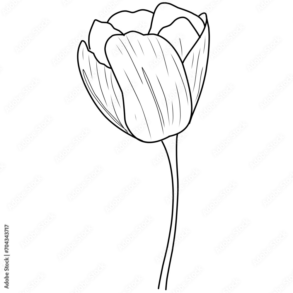 Seni garis vektor bunga tulip set besar. Gambar tangan bunga abstrak ...