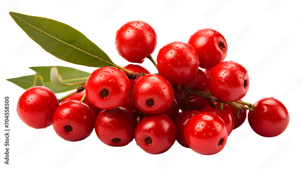 Quandong, transparent background, high-resolution image, native ...