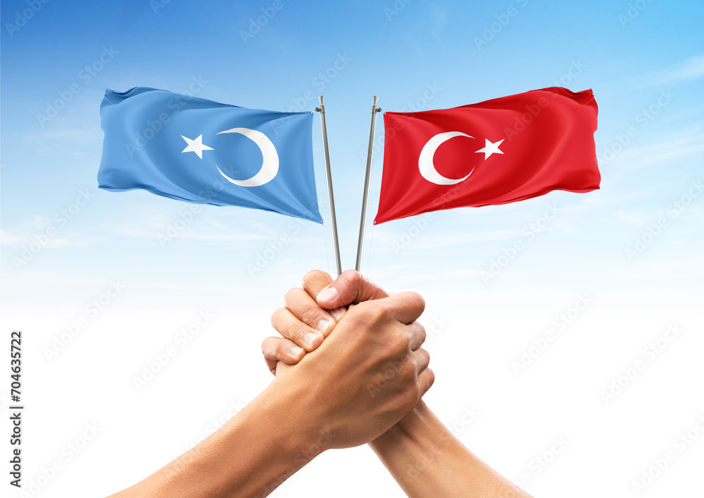 Flag of East Turkistan and Turkey, allies and friendly countries, unity ...