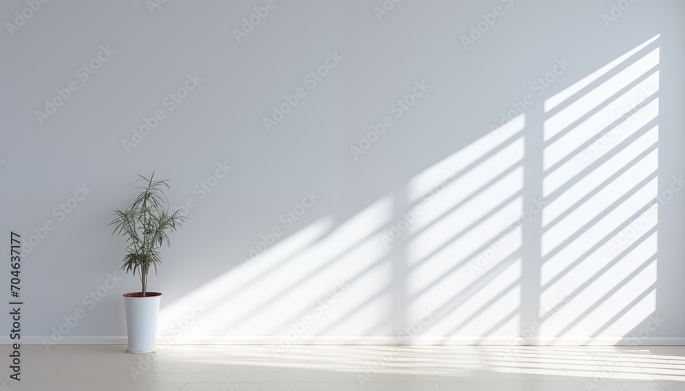 shadow from a window on a white wall with a flower. mockup for product ...