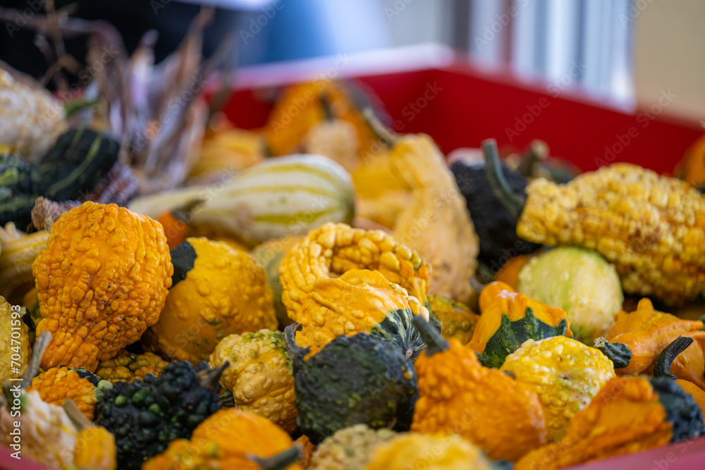 A round wicker basket of brightly colored gourds. The vegetables are ...