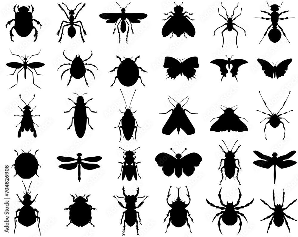 Insect silhouette vector design icon collection in different types of ...