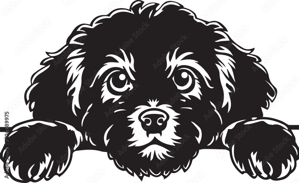 cute cavapoo peeking dog silhouette Stock Vector | Adobe Stock