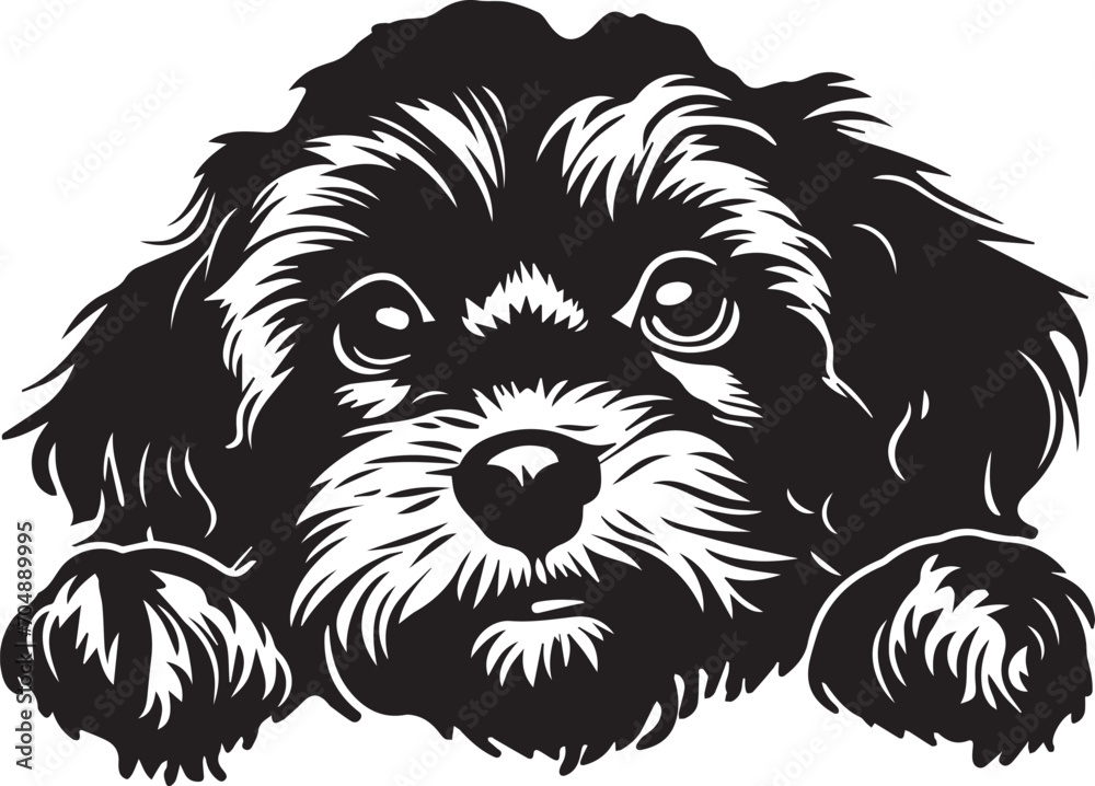black and white cavoodle peeking dog Stock Vector | Adobe Stock