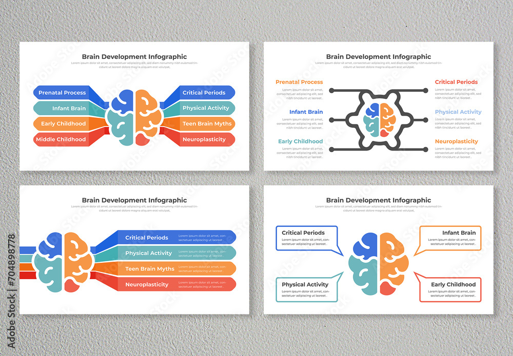 Brain Development Infographic Stock Template | Adobe Stock