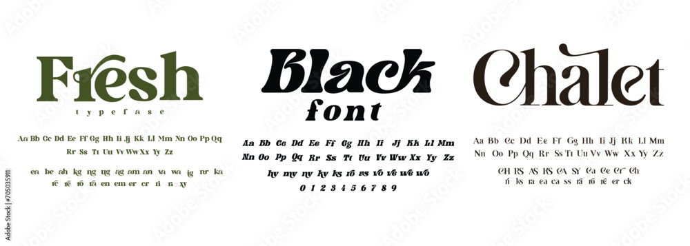 Set of different typefaces. Upper and lower case, set of ligatures ...