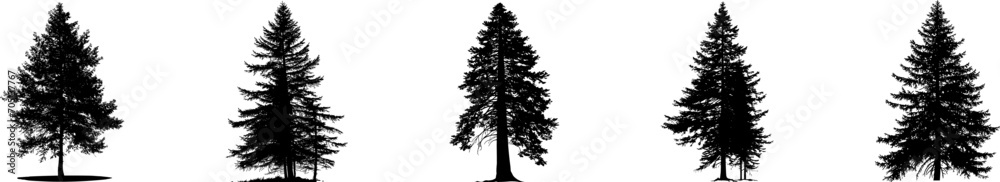 Silhouette tree line drawing set, Side view, graphic tree elements set ...