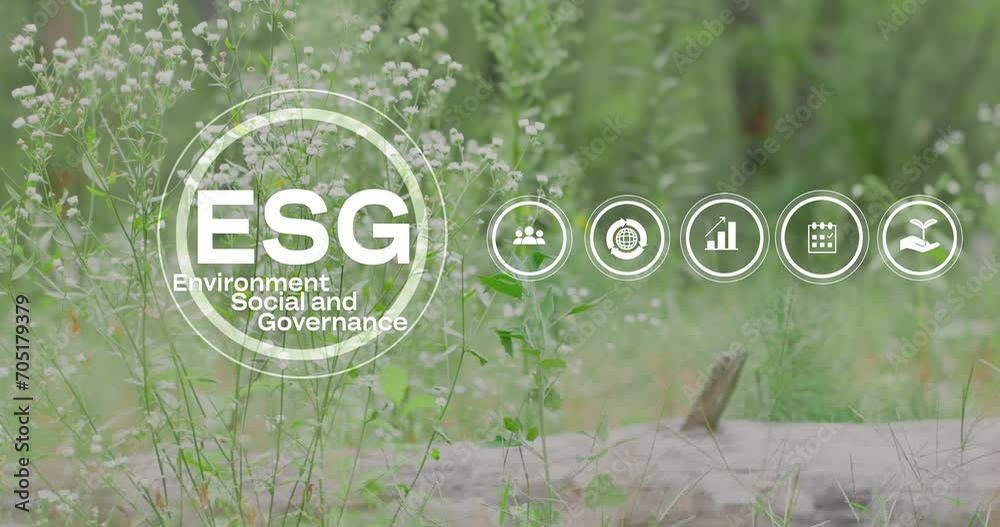 ESG environmental social governance investment business concept. ESG ...