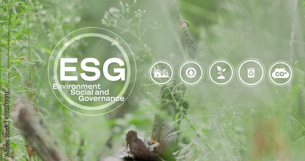Vidéo Stock ESG environmental social governance investment business ...