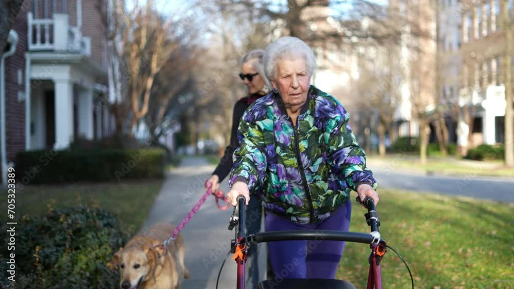 Side view of elderly senior woman pushing a walker with daughter and ...
