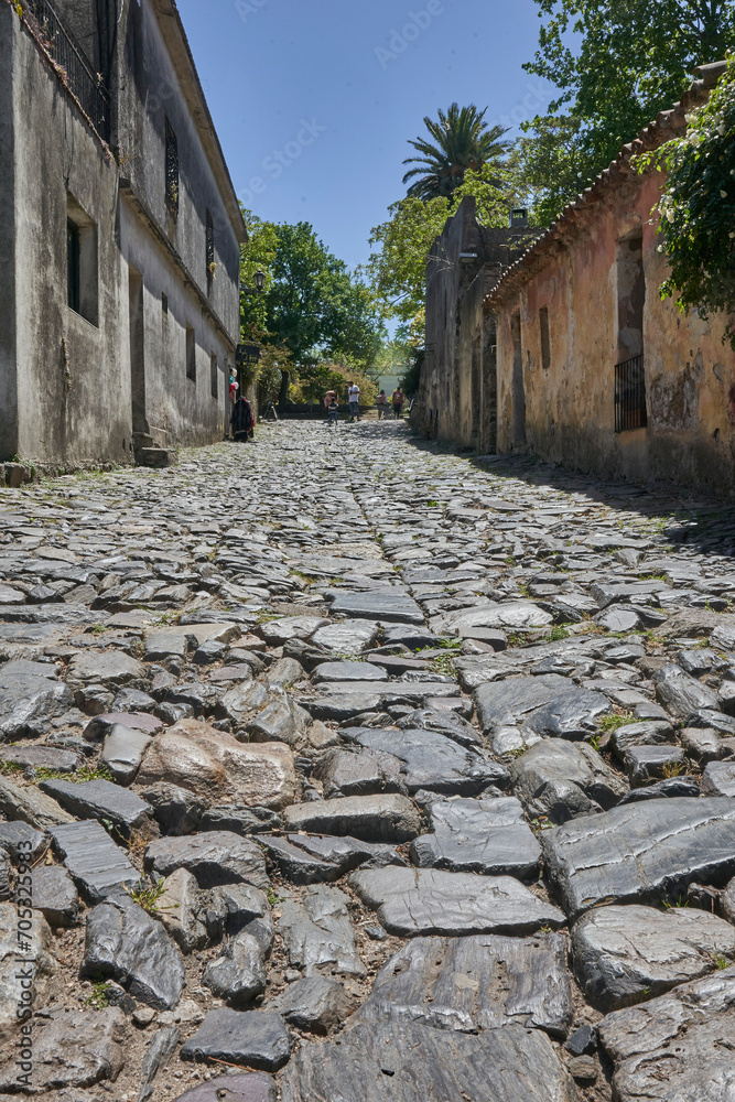 Fotos de detalles , paisajes de Montevideo, Colonia Punta del Este ...