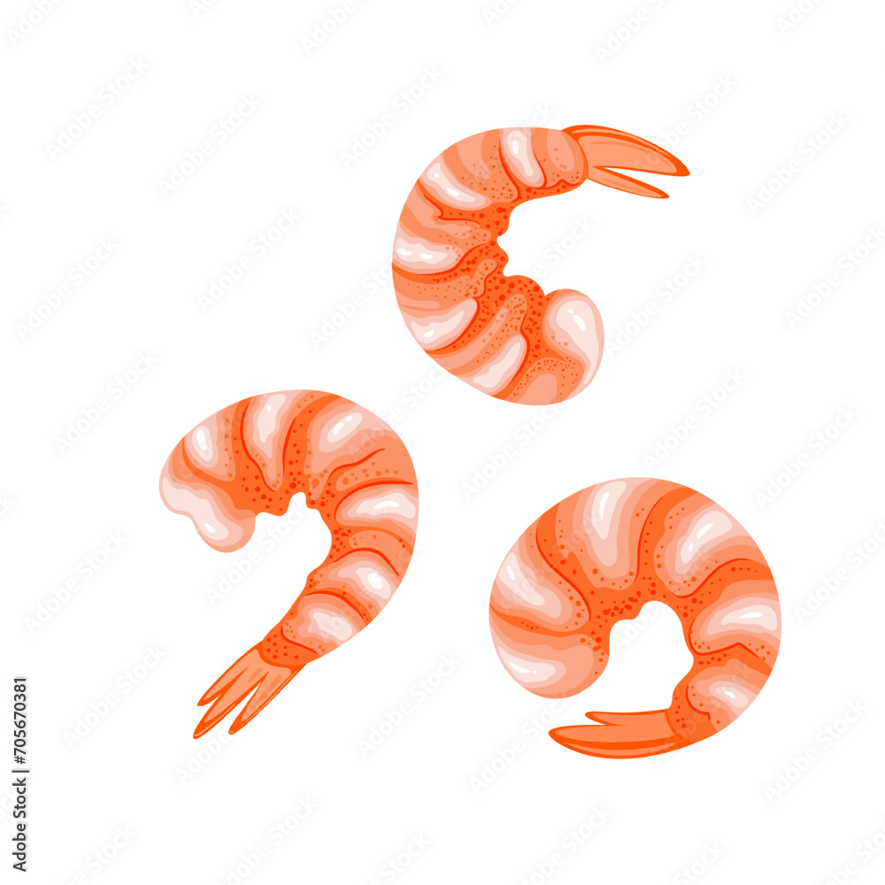 Raw headless shrimp set vector illustration. Cartoon isolated top view ...