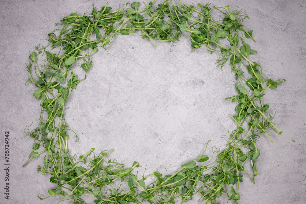 Sustainable living with a close-up of freshly sprouted pea shoots ...