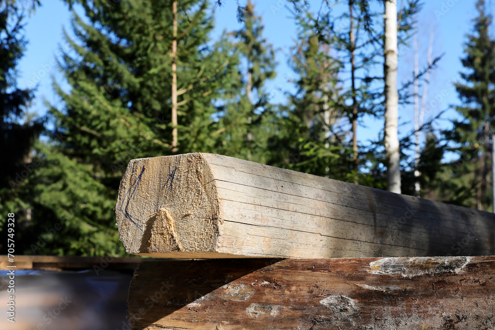 Stages of wood assembly of wooden log house at a construction base into ...
