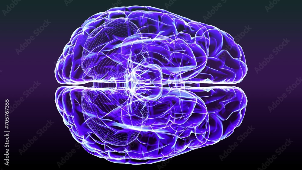 Section of a brain seen in profile, parts of the brain. Degenerative ...