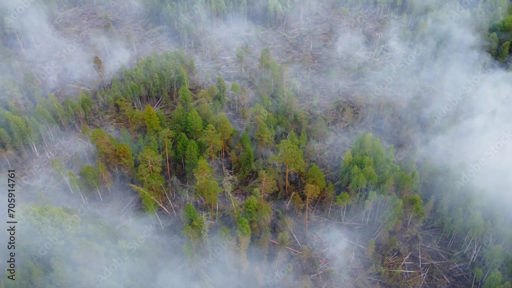 smoking wildfire aerial video, forest fire, wildfires caused by arson ...