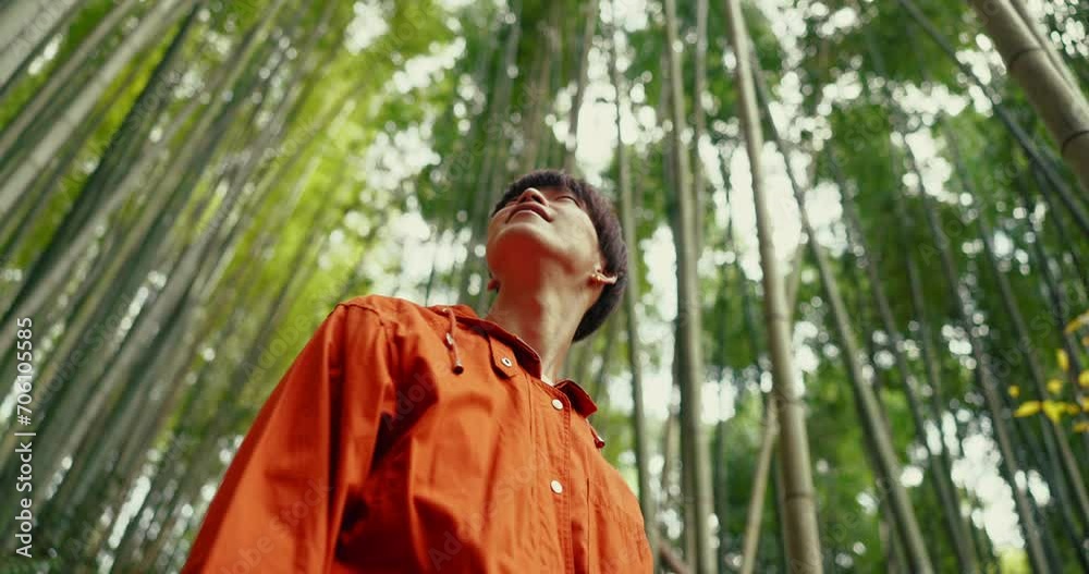 Vidéo Stock Japanese man, bamboo forest and nature on adventure, hiking ...