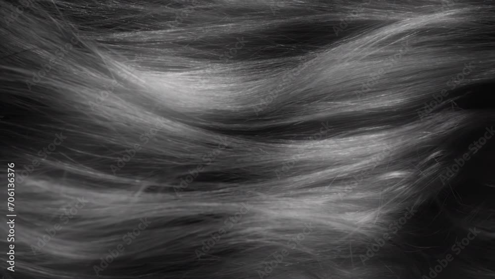 Vidéo Stock Beauty and glamour hair blowing in the wind in slow motion ...