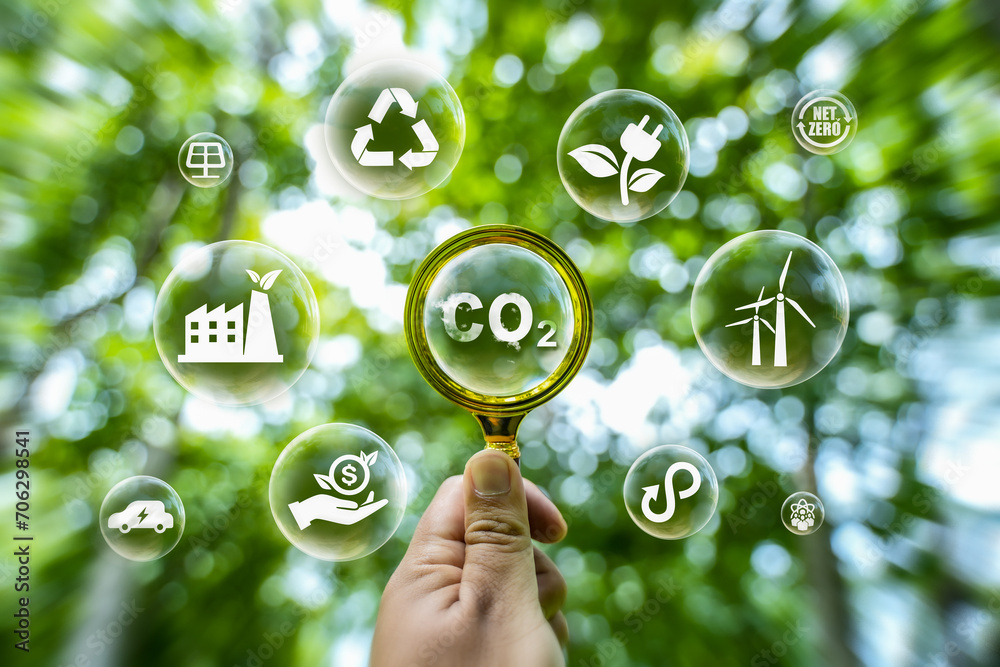 Concepts about the issue of carbon dioxide emissions and their impact on nature In the form of a ...