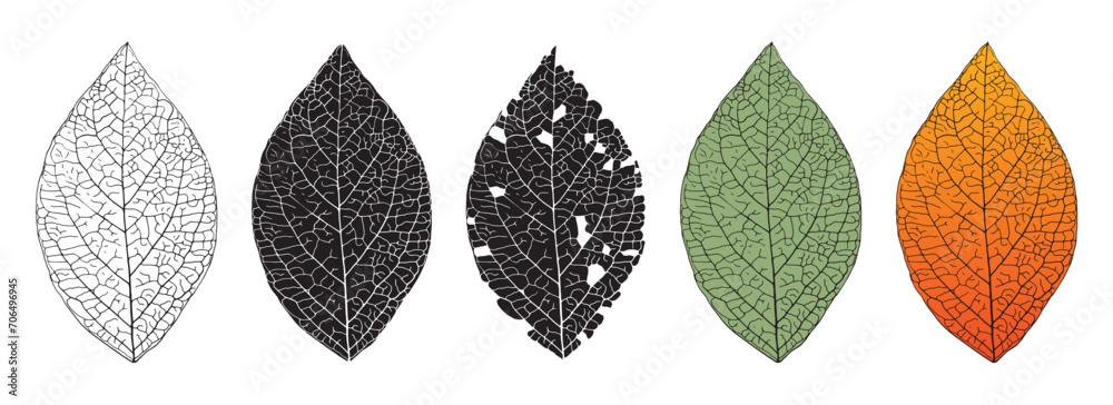 vector detailed leaf drawing. green leaf. yellowed leaf illustration ...