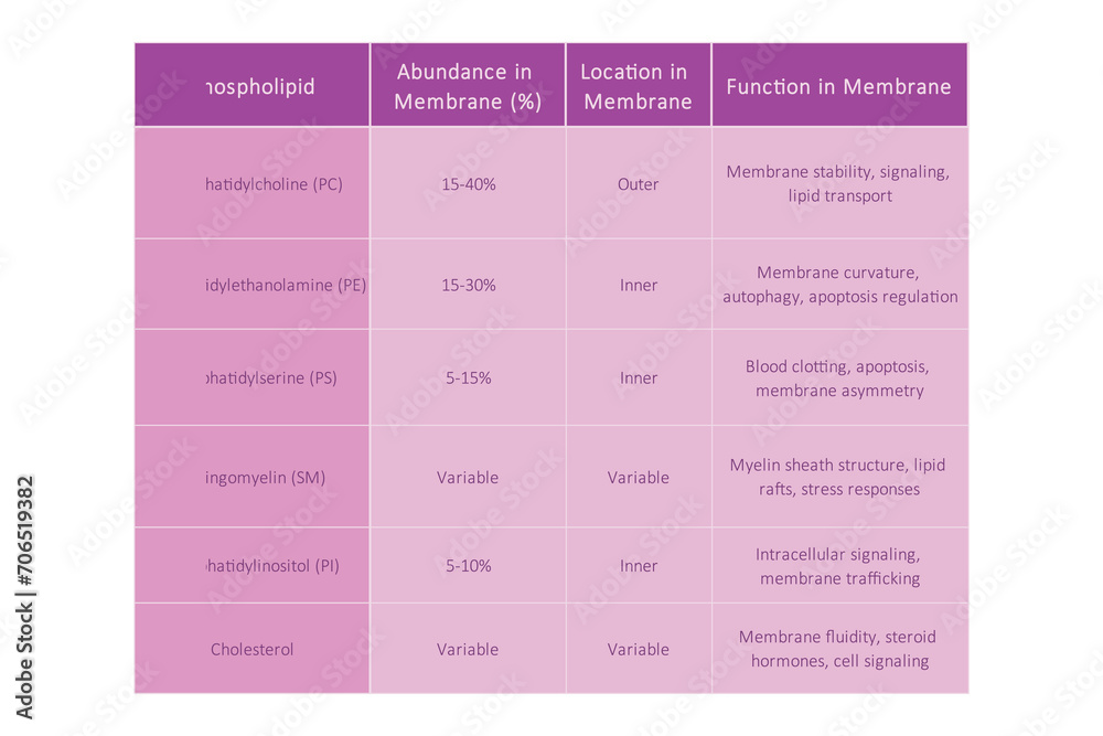 Table showing Phospholipids types, membrane abundance and location and ...