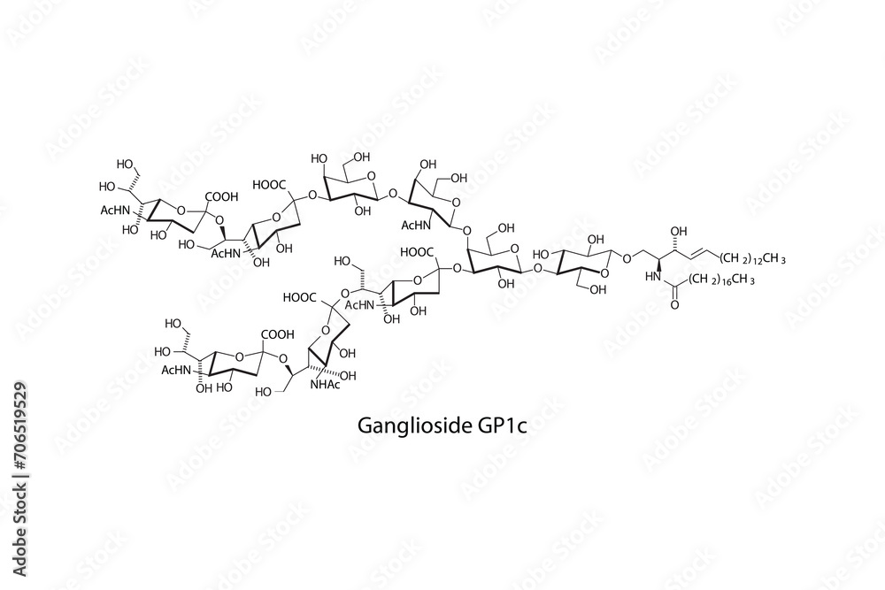 Molecular structure diagram of Ganglioside GP1c white Scientific vector ...
