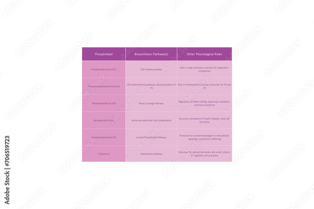 Table showing Phospholipids types, biosynthesis pathways and biological ...