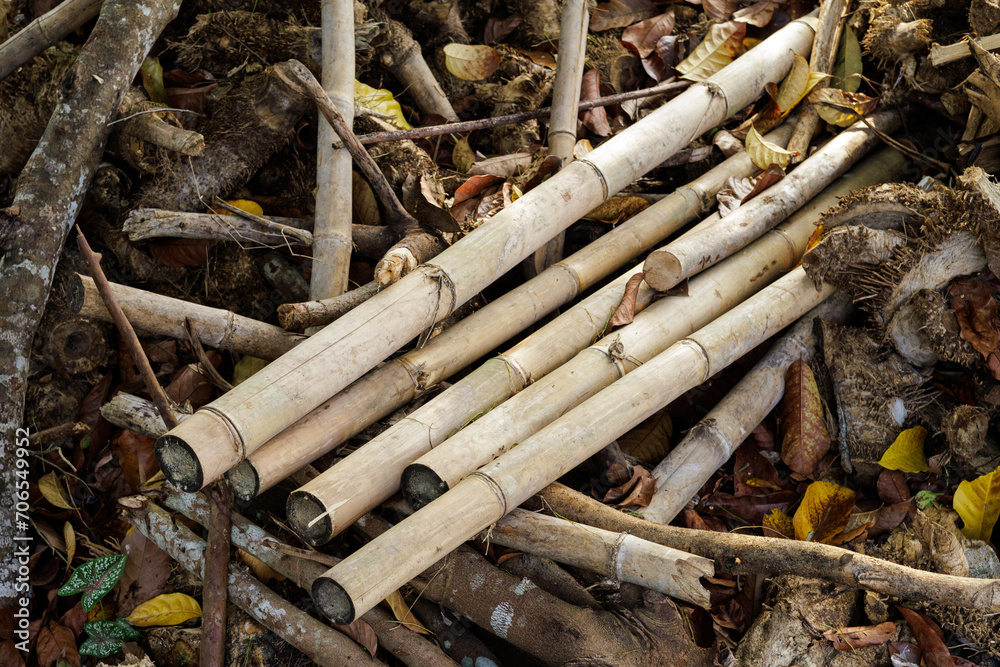 Stack of bamboo poles dried for building outdoor bamboo hub. natural ...