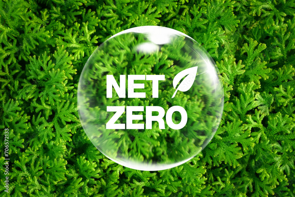 Net Zero text inside of bubble on green Selaginella fern leaves pattern ...