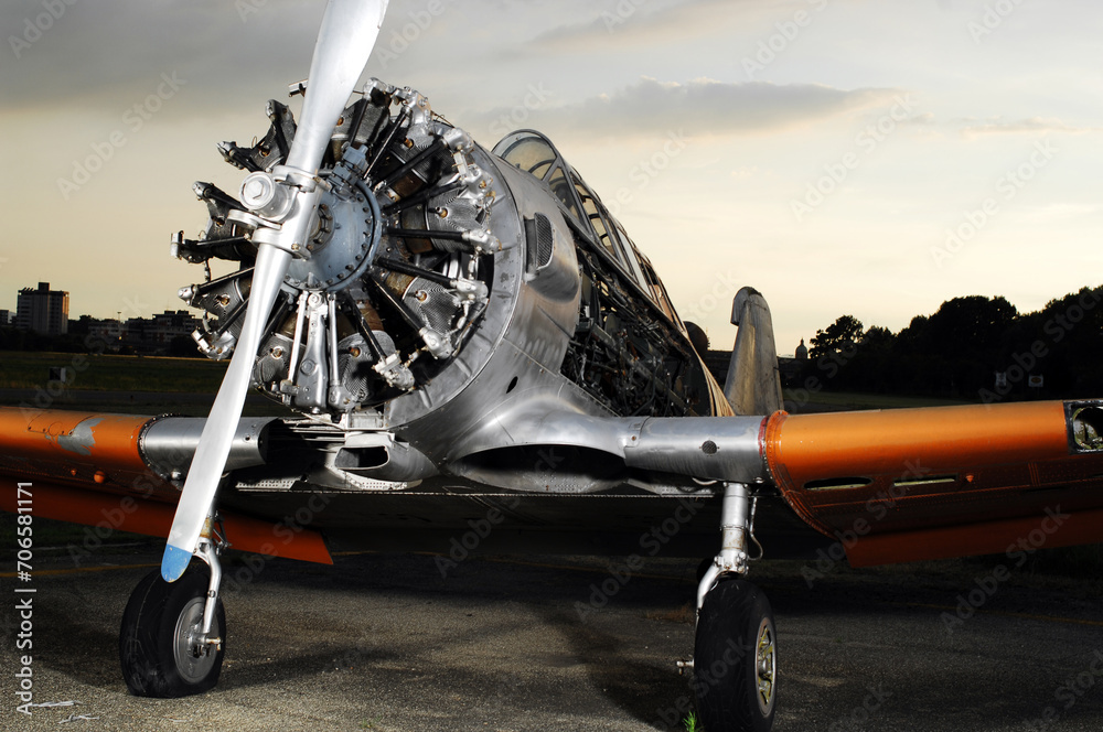 image of a North American T-6 Texan: a single-engine low-wing training ...