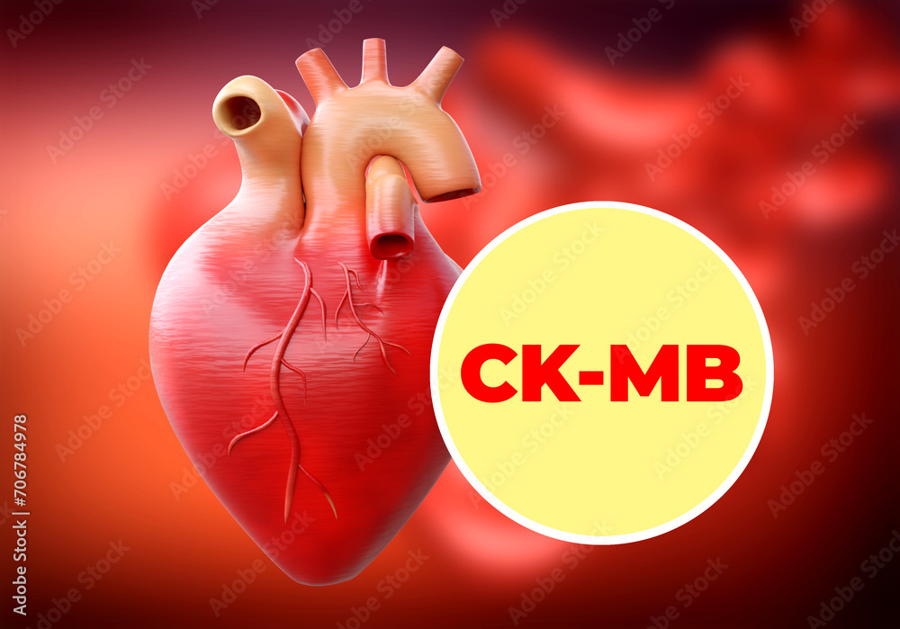 CK-MB is an enzyme and cardiac biochemical marker whose elevation may be indicative of acute ...