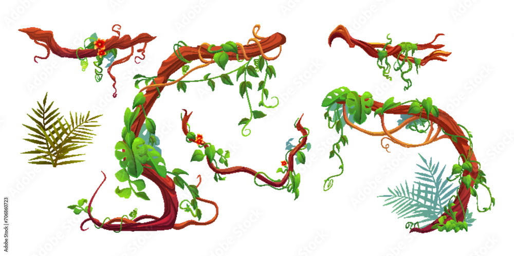Set of liana branches with green leaves and flowers isolated on white ...