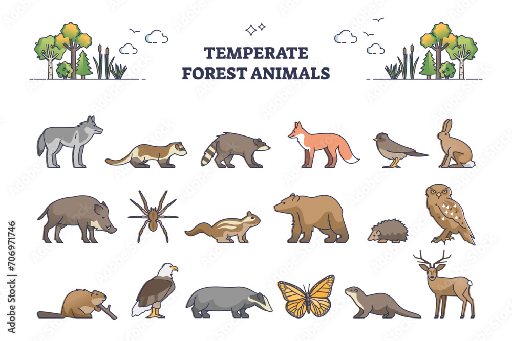 Poster Temperate forest animals and living nature species outline ...