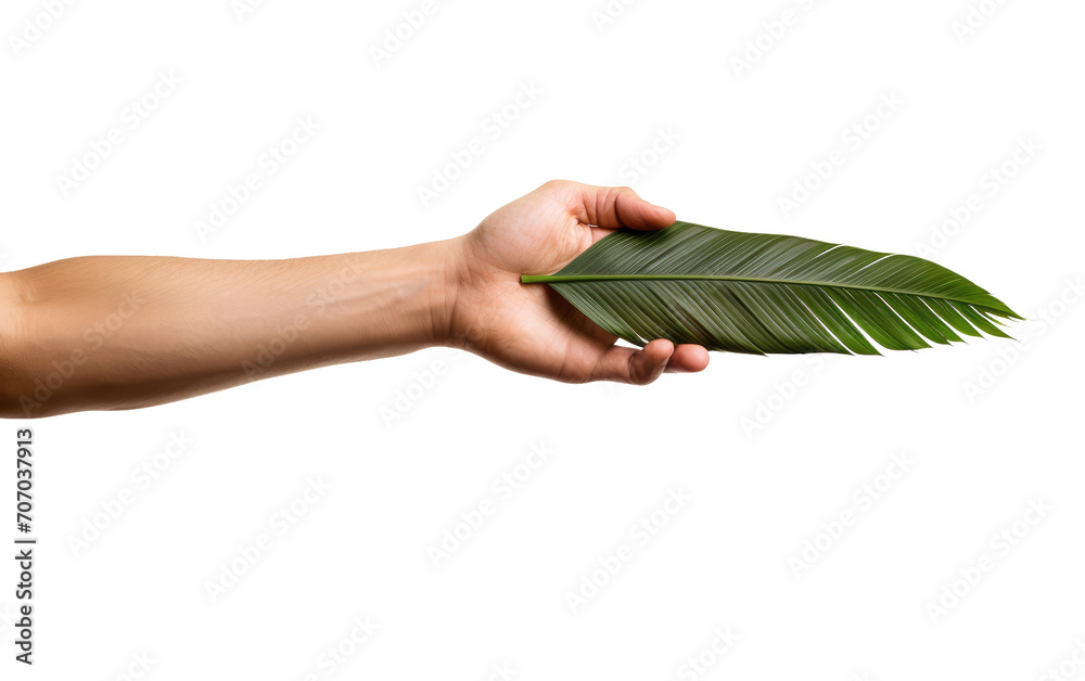 Tropical Leaf on Human Arm, a Captivating Blend of Natures Beauty and ...