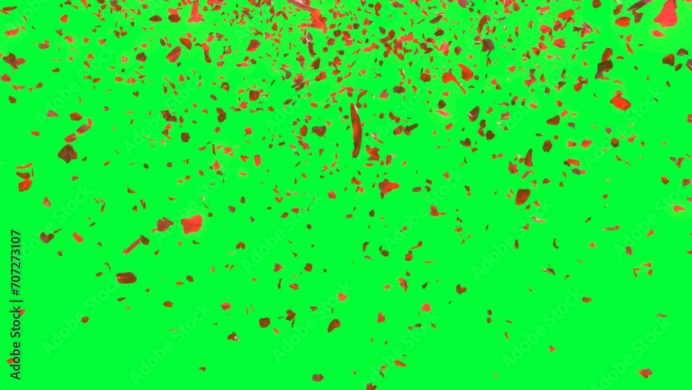 Vidéo Stock Two type color of rose petals confetti falling and rotating ...
